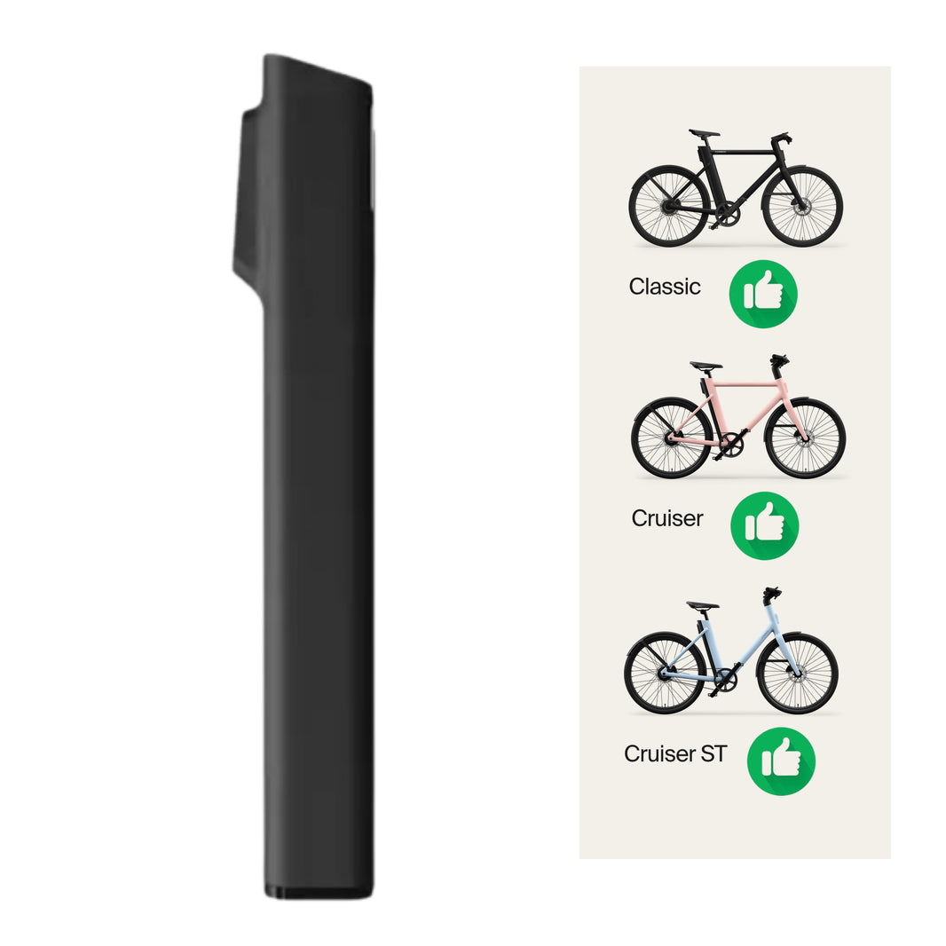Batteries – VANMOOF.PRO